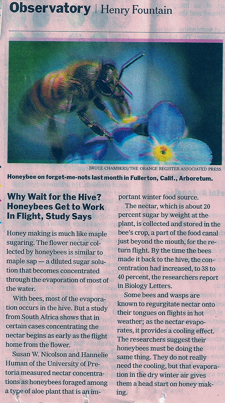 bee article's